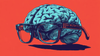 The Reorientation Illusion: What It Is and How It Relates to Your ...