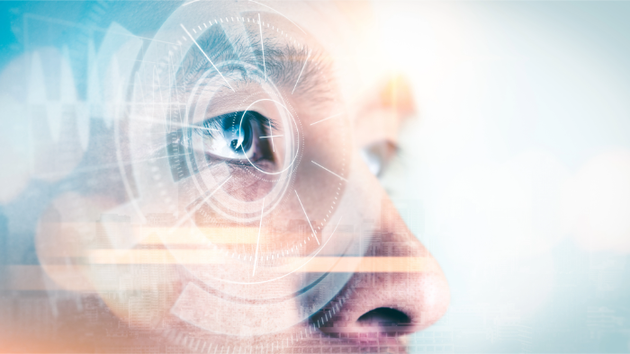Unlocking the Secrets of Spatial Orientation: How Your Body Knows Which ...