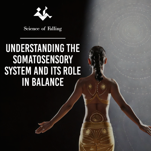 Understanding the Somatosensory System and Its Role in Balance ...