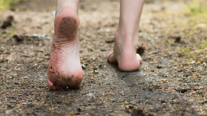 Unlocking the Secrets of Spatial Orientation: How Your Body Knows Which ...