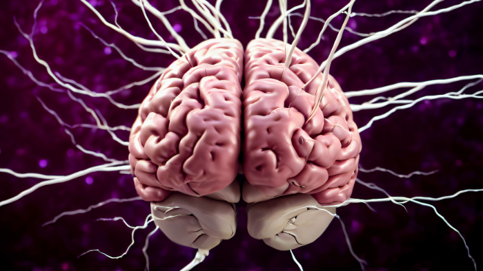 Your Eyes and Balance: How Vision Keeps You Steady — Science of Falling