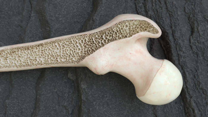 Optimizing Bone Health: Your Complete Guide to Stronger Bones and a ...