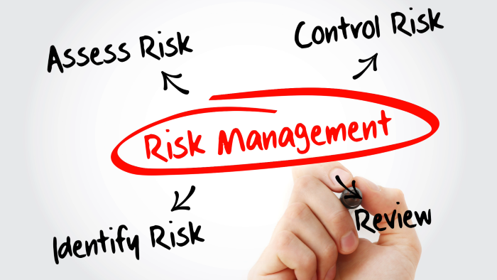 Optimizing Bone Health: Your Complete Guide to Stronger Bones and a ...