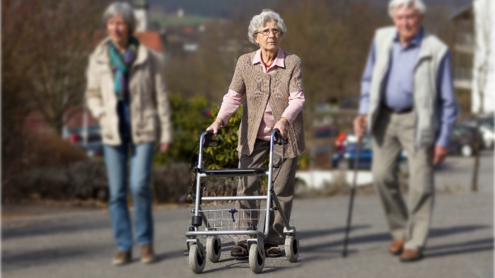 Your Comprehensive Guide to Assistive Devices for Maintaining Balance ...