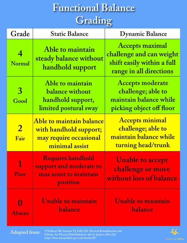 How to Grade and Track Your Balance: A Simple Guide for Clinicians ...