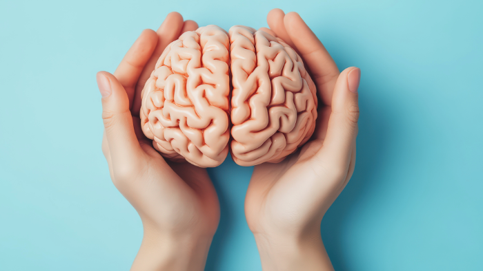 How Falls Cause Traumatic Brain Injuries (TBI): Understanding the Risks ...