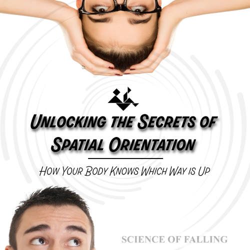 Unlocking the Secrets of Spatial Orientation: How Your Body Knows Which ...