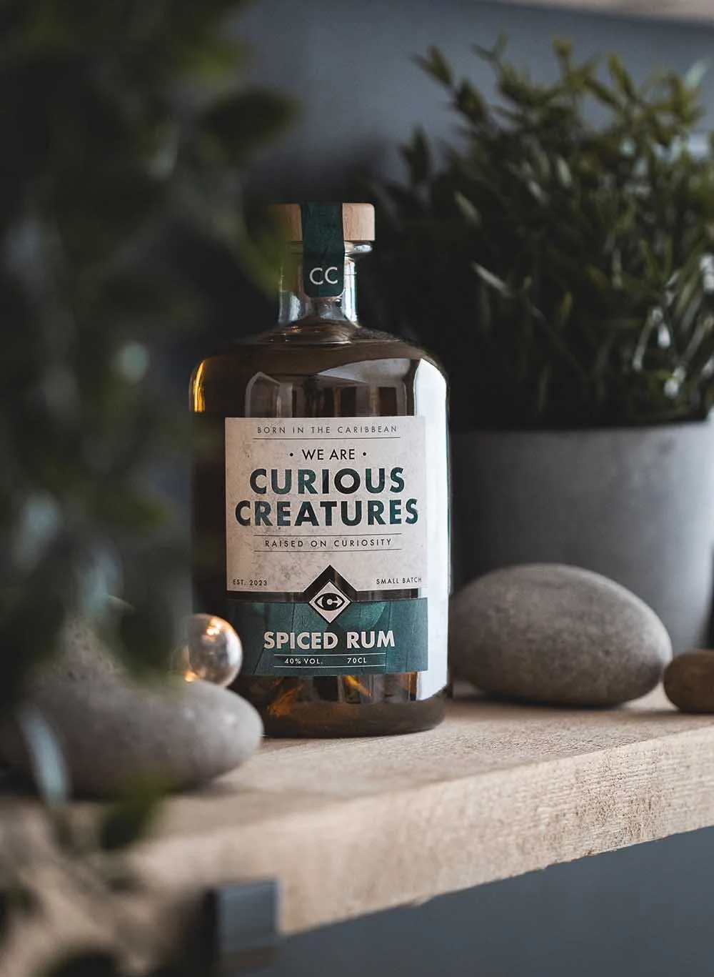 Welsh Witch Spiced Rum — The Rum Company - British Rum | Subscription ...