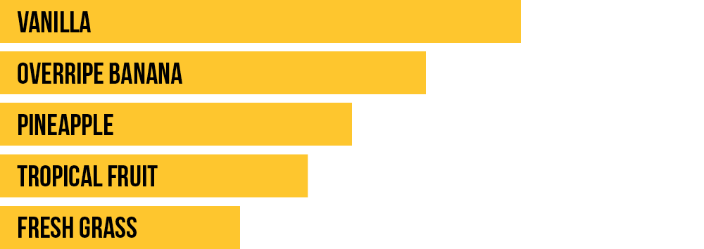 Hama Signature Ultra-Premium White Rum (70cl, 40%) — The Rum Company ...