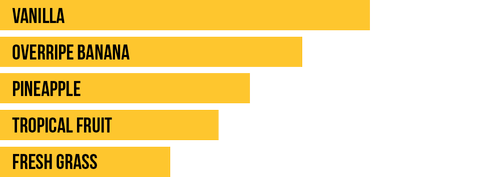 Hama Signature Ultra-Premium White Rum (70cl, 40%) — The Rum Company ...