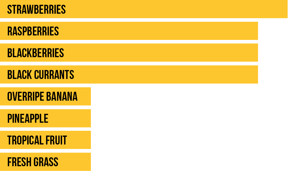 Hama Berry Ultra-Premium White Rum (70cl, 40%) — The Rum Company ...