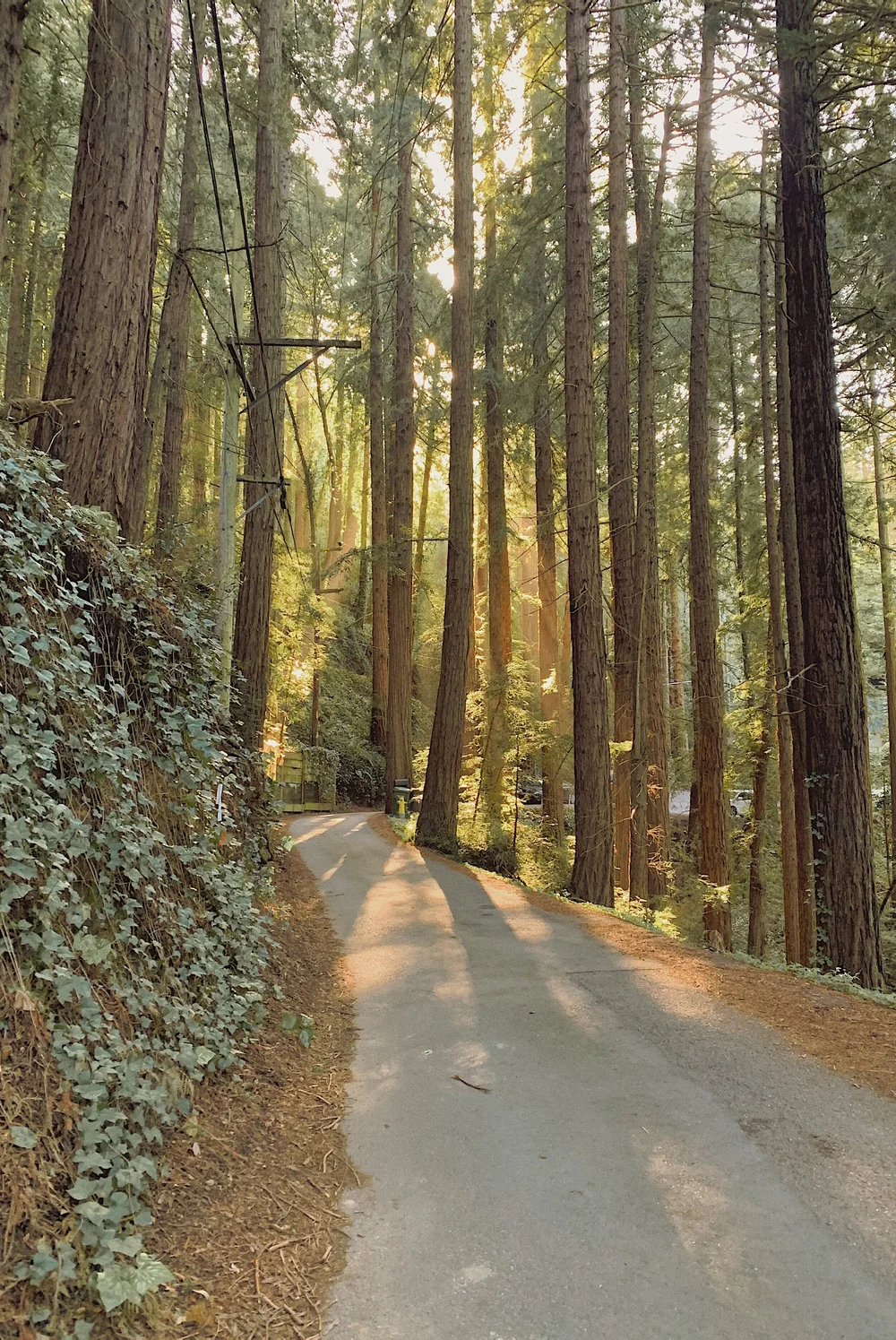 My Approach to Cultivate Confidence — Heather Jeffries | Presentation ...