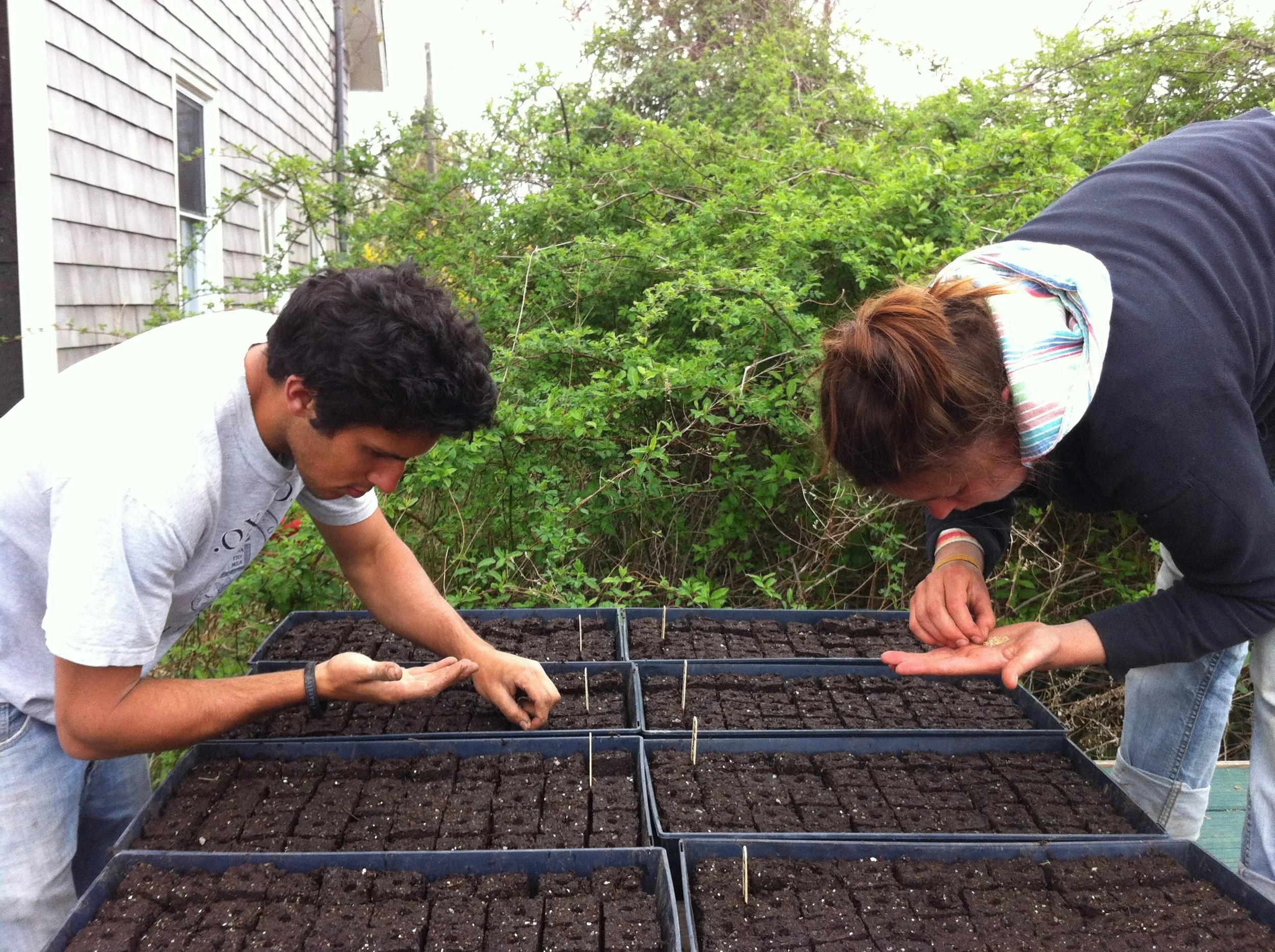 Farming Apprenticeship — Amber Waves