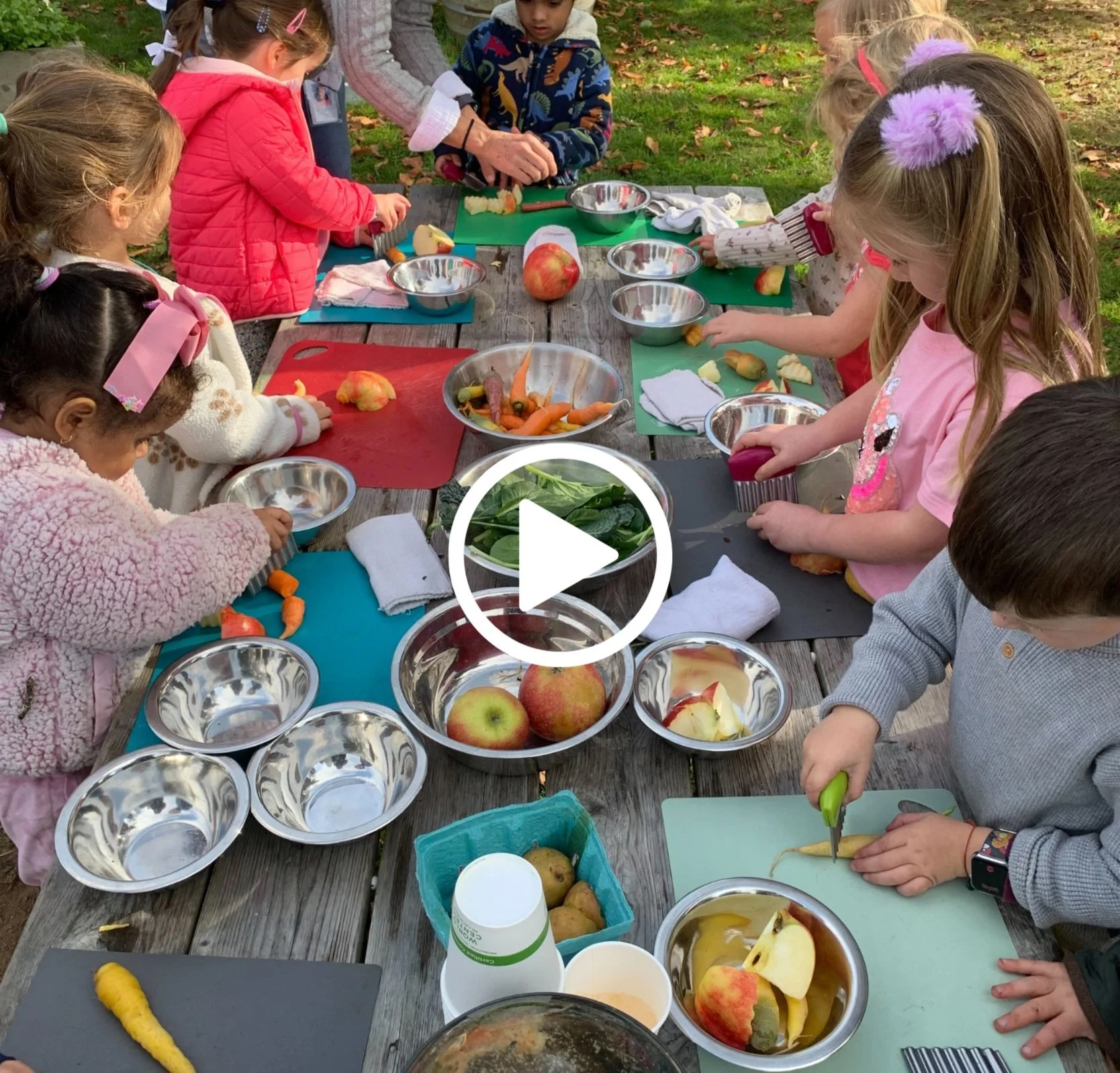 Our Programs — Amber Waves