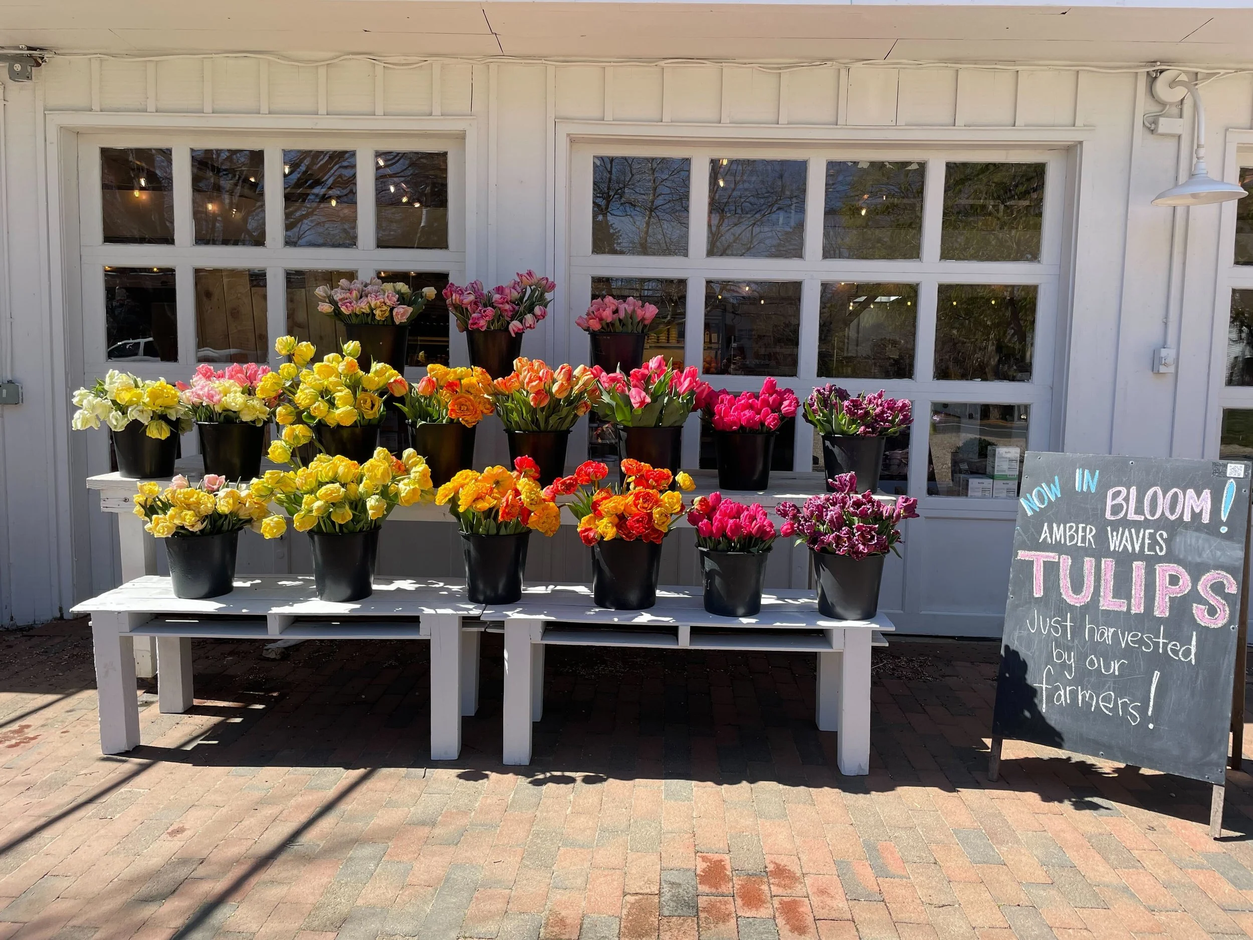 Contact Us — Amber Waves