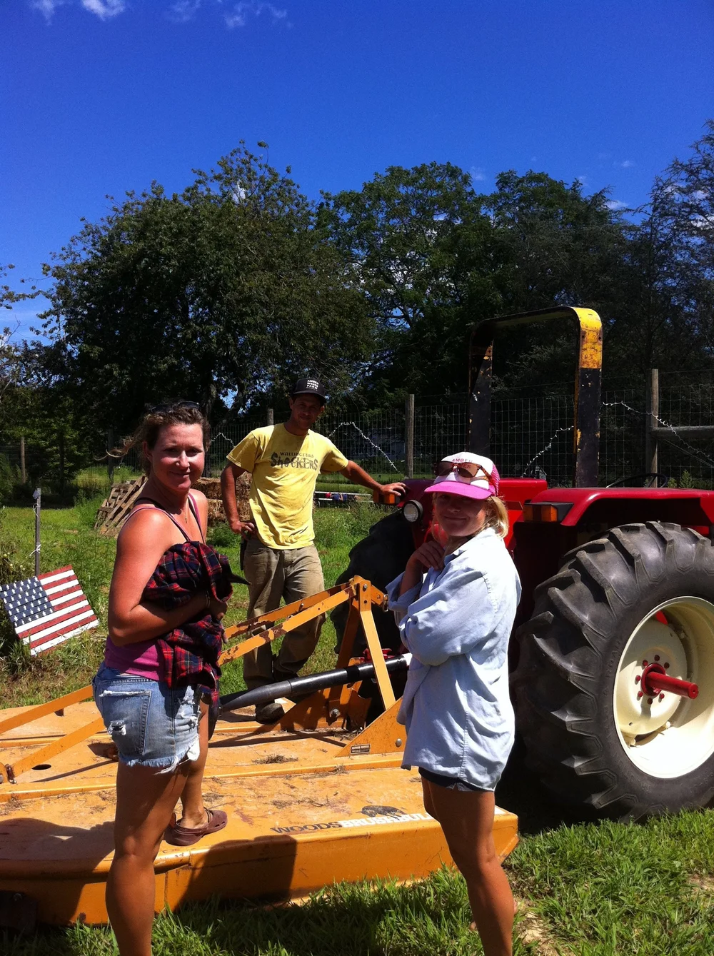 The Farm — Amber Waves