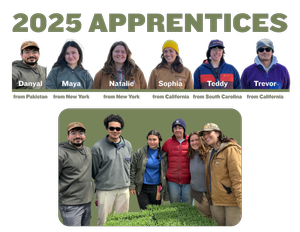 Farming Apprenticeship — Amber Waves