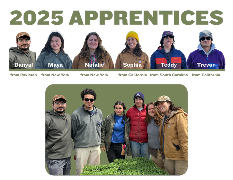 Farming Apprenticeship — Amber Waves