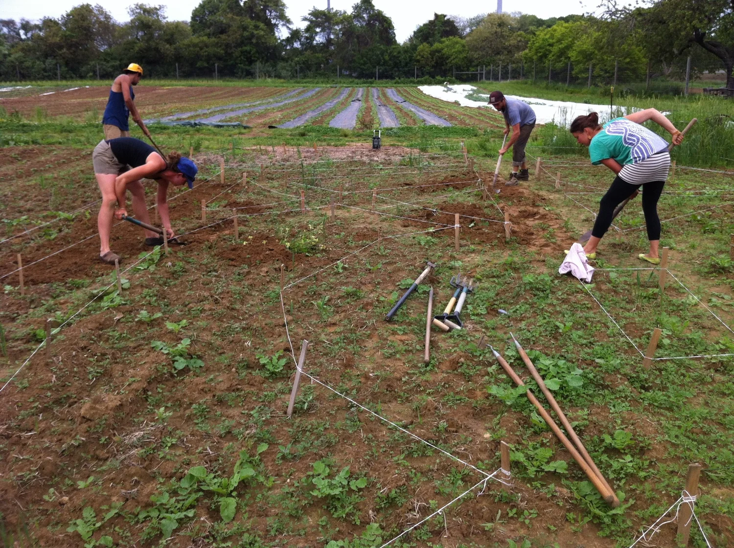 Farming Apprenticeship — Amber Waves