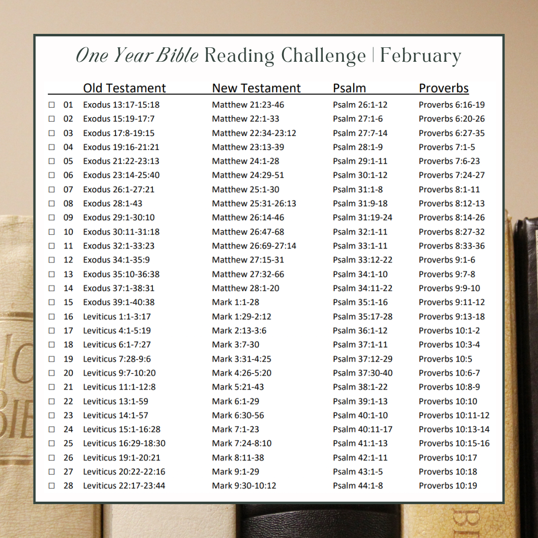 Church-Wide One Year Bible Reading Challenge — Providence UMC