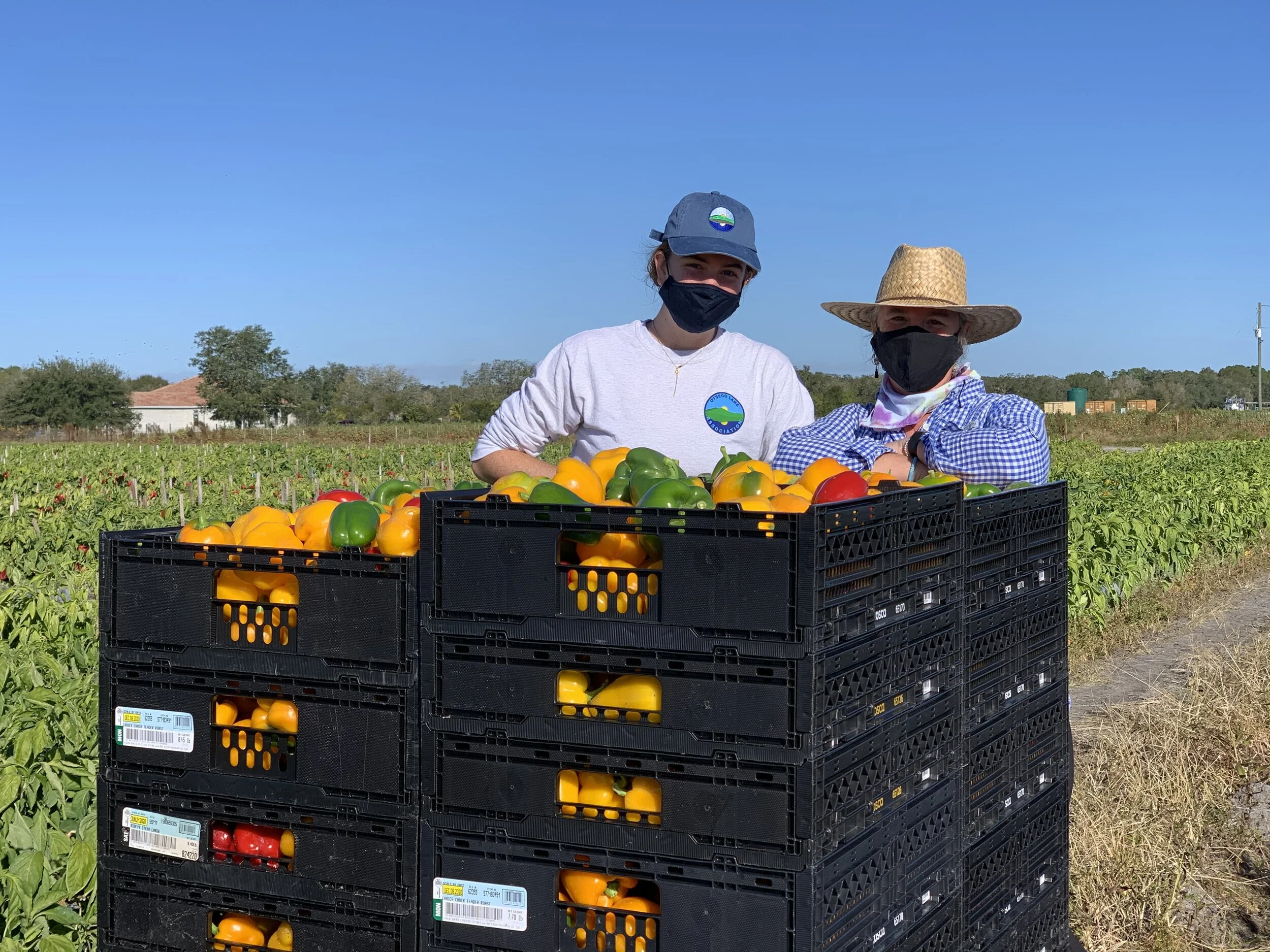 What it Means to Glean: The History and Future of Gleaning — Community ...