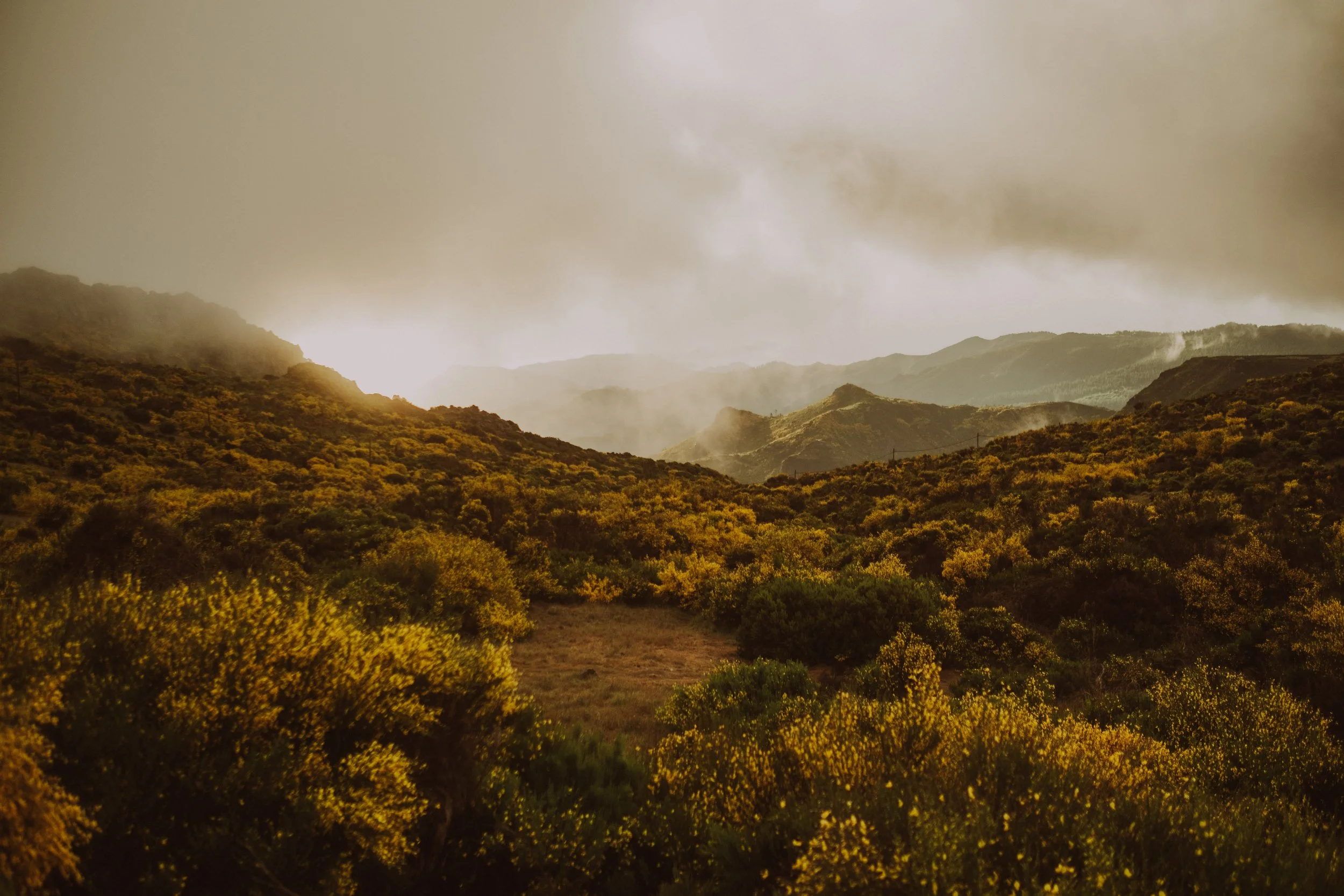 Madeira, Portugal — Tim Batist