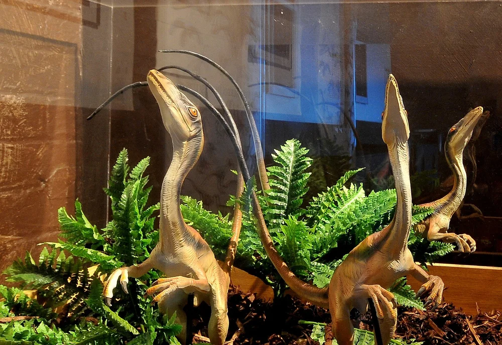 Dinostar - Hull’s Dinosaur Experience — The Hull Story
