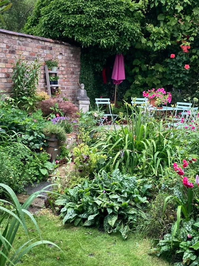 A popular open gardens event in Hull will raise money for Dove House ...