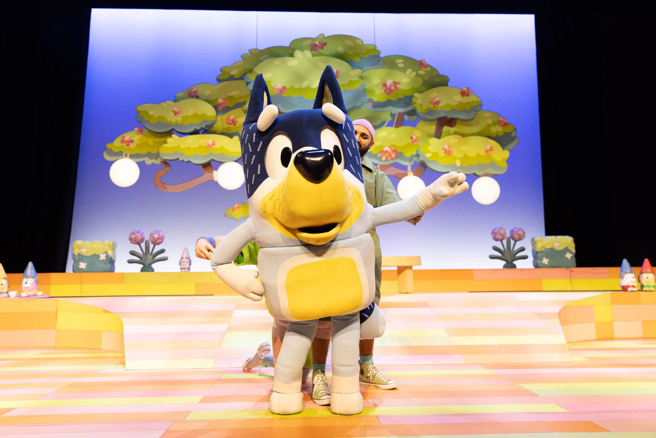 ‘A source of joy for audiences’: Bluey’s Big Play director has big ...