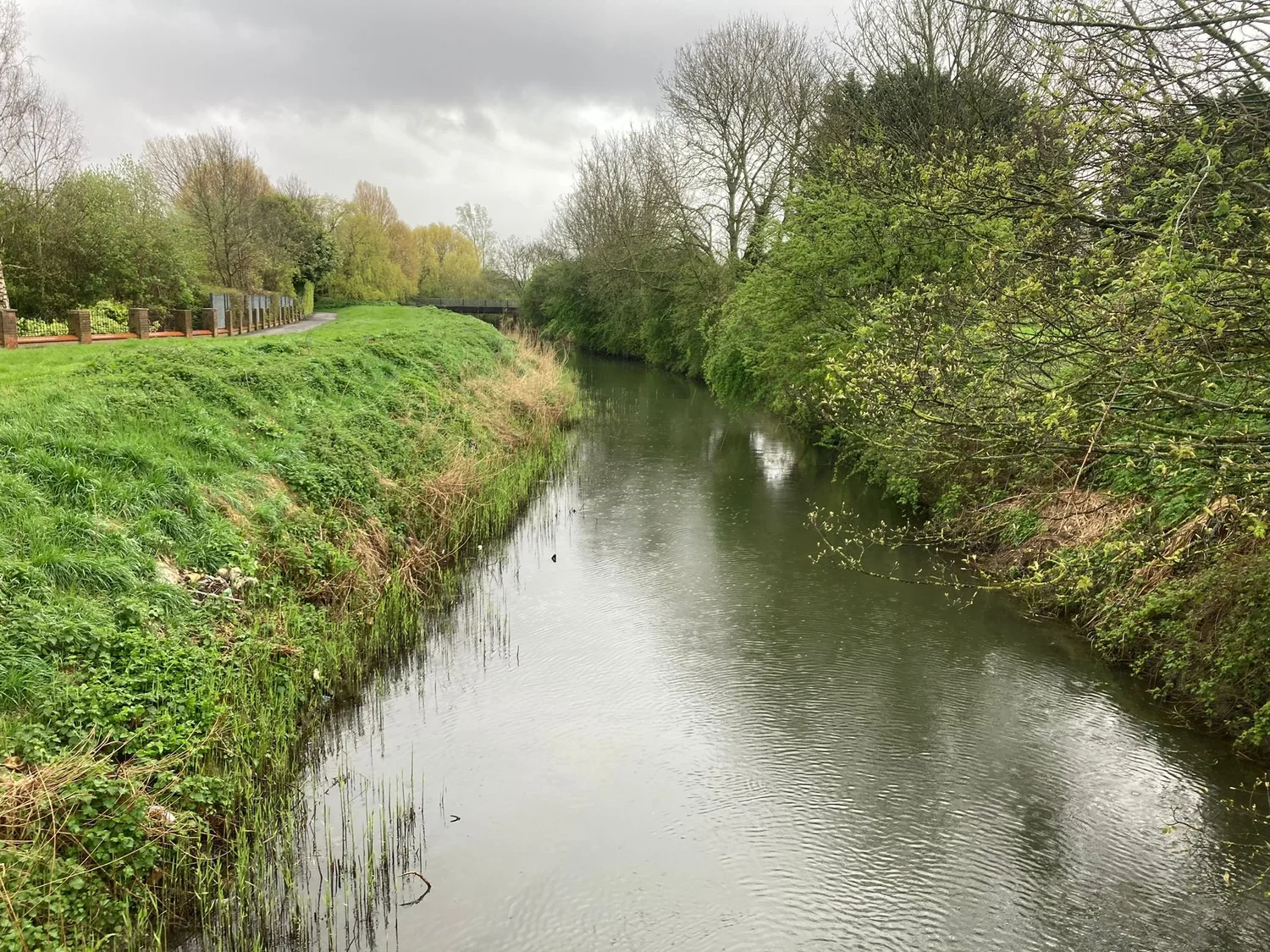 Dynamic drains: History & wildlife project breathes new life into urban ...