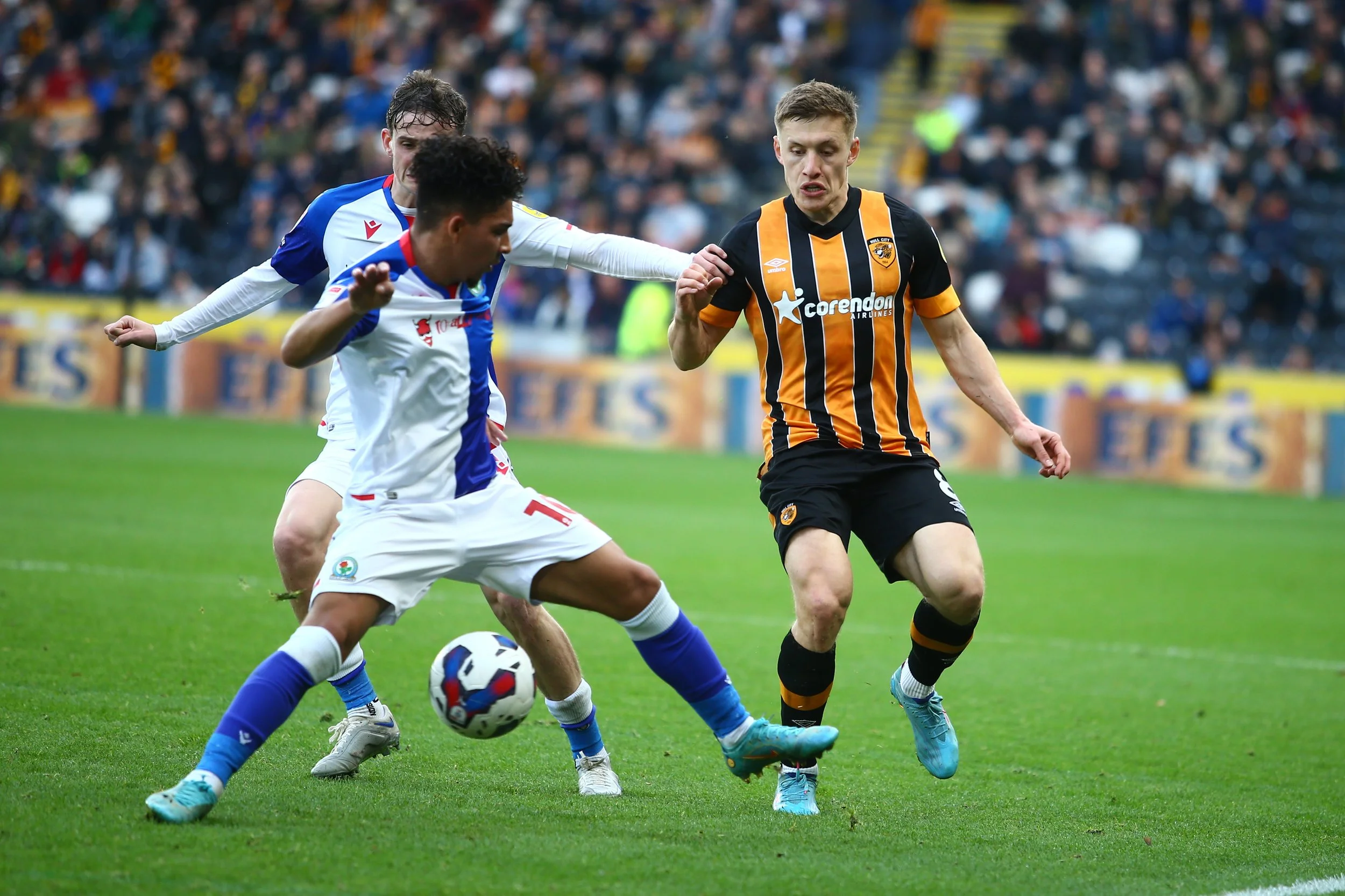 Tigers beaten, but a side transformed — The Hull Story