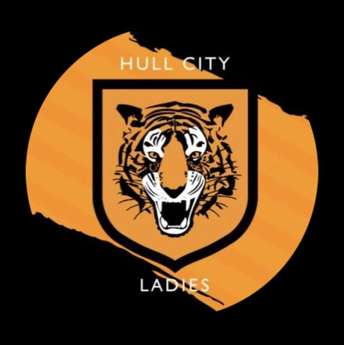 Hull City Ladies rocked by fraud probe & legal action — The Hull Story