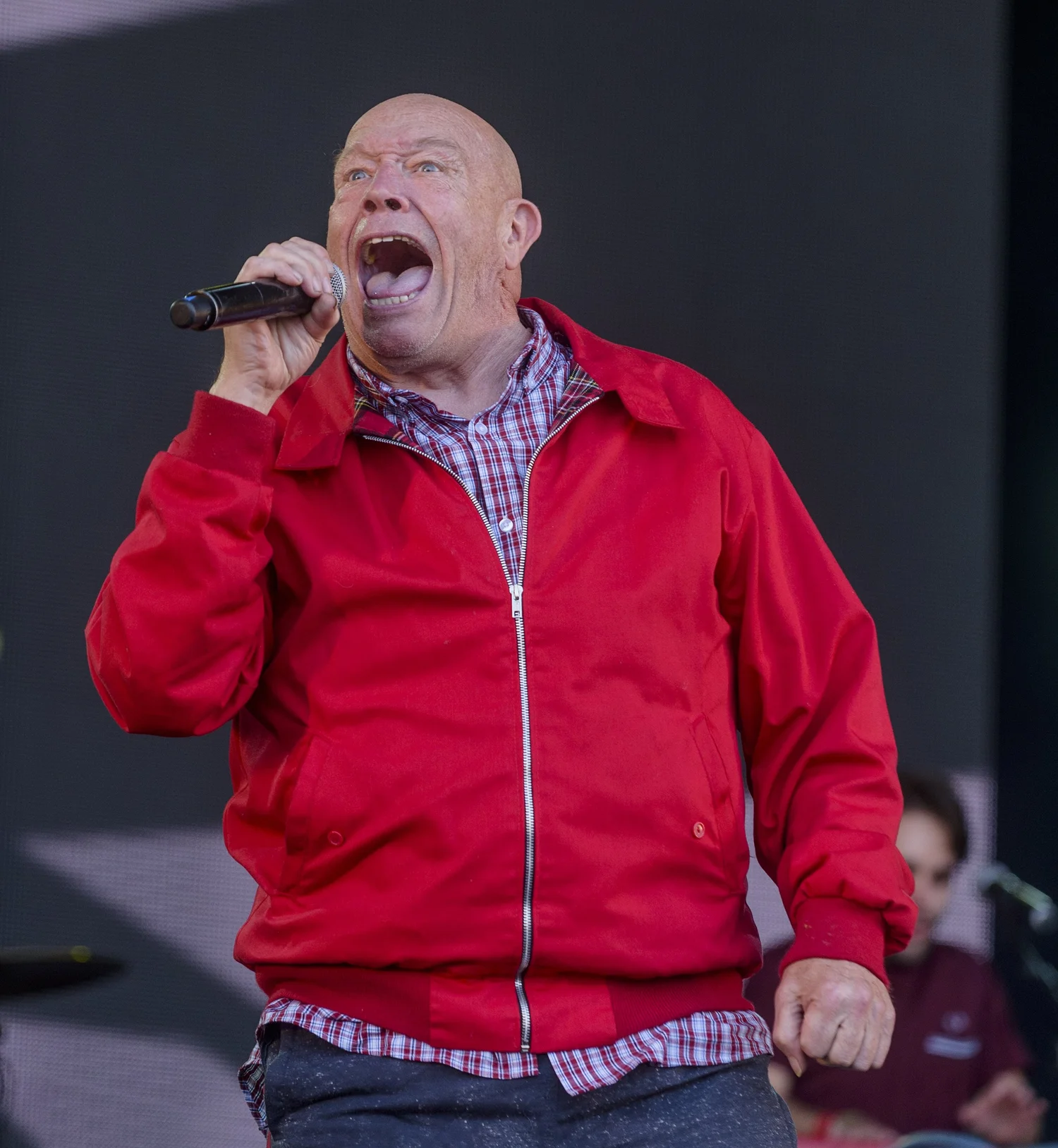 Buster Bloodvessel: ‘We’re not trying to be clever, it’s just about fun ...