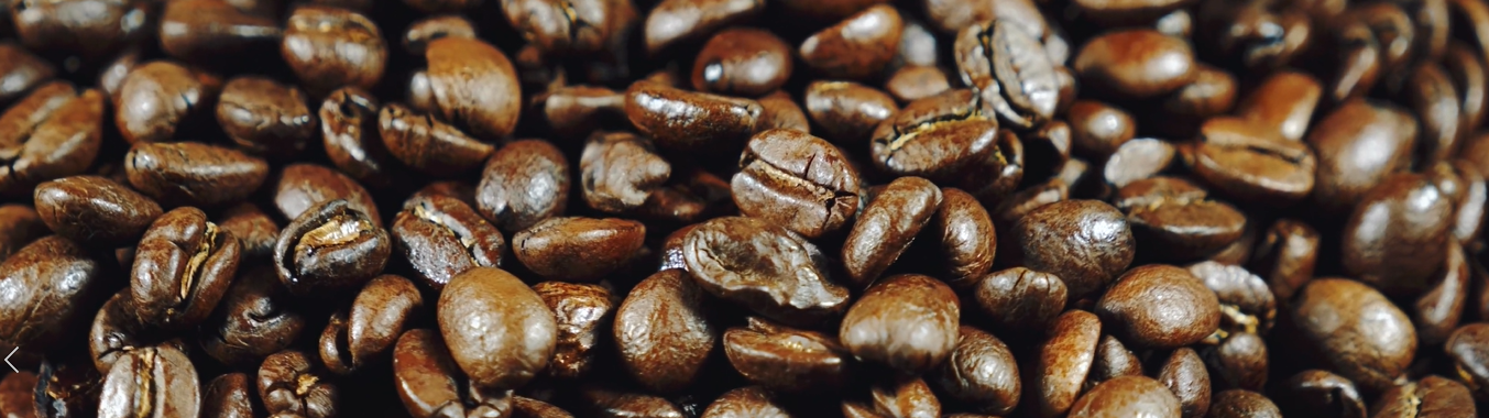 WORKING CLASS COFFEE Satisfying Coffee Roaster