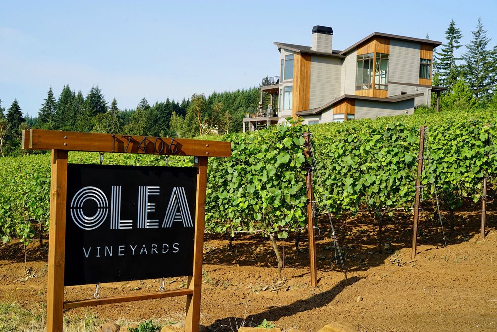 Olea Vineyards