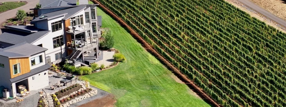 Wine Tastings — Olea Vineyards