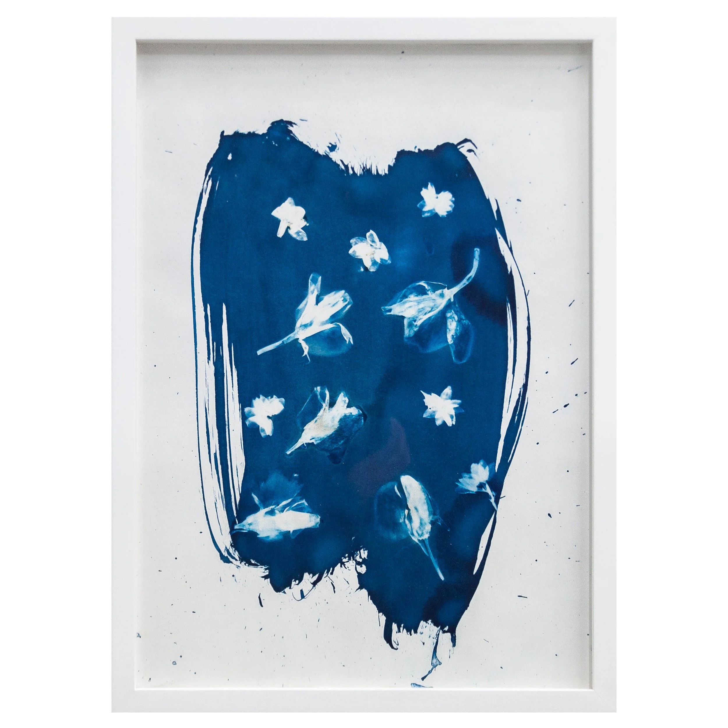 Issay Rodriguez — MONO8