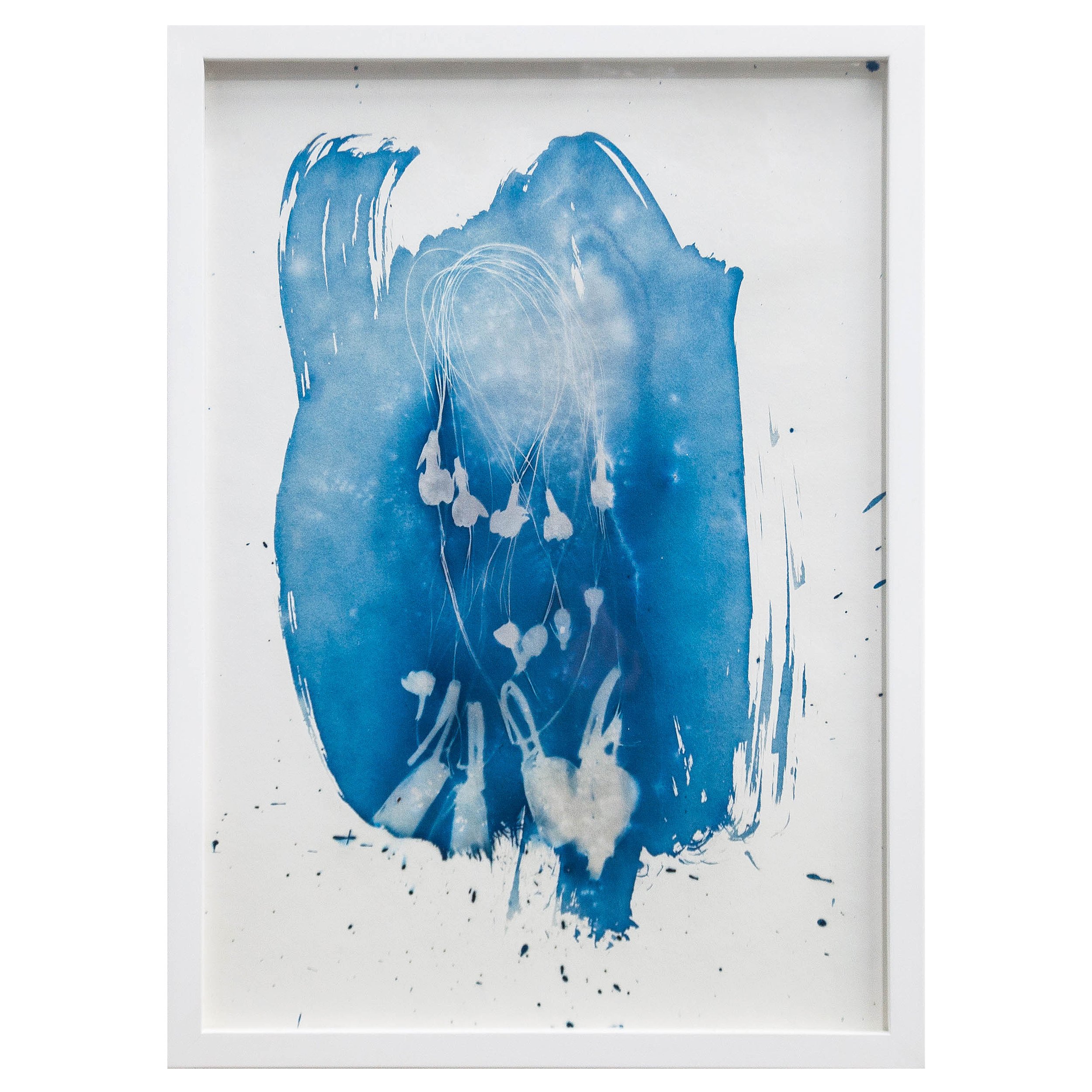 Issay Rodriguez — MONO8