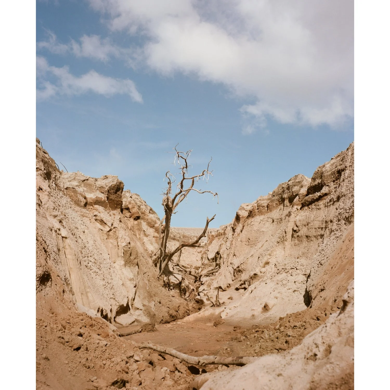 Jim Lumbera and Joey Singh — MONO8