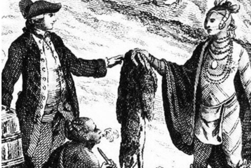 History Of The Fur Trade — Knight of New Zealand