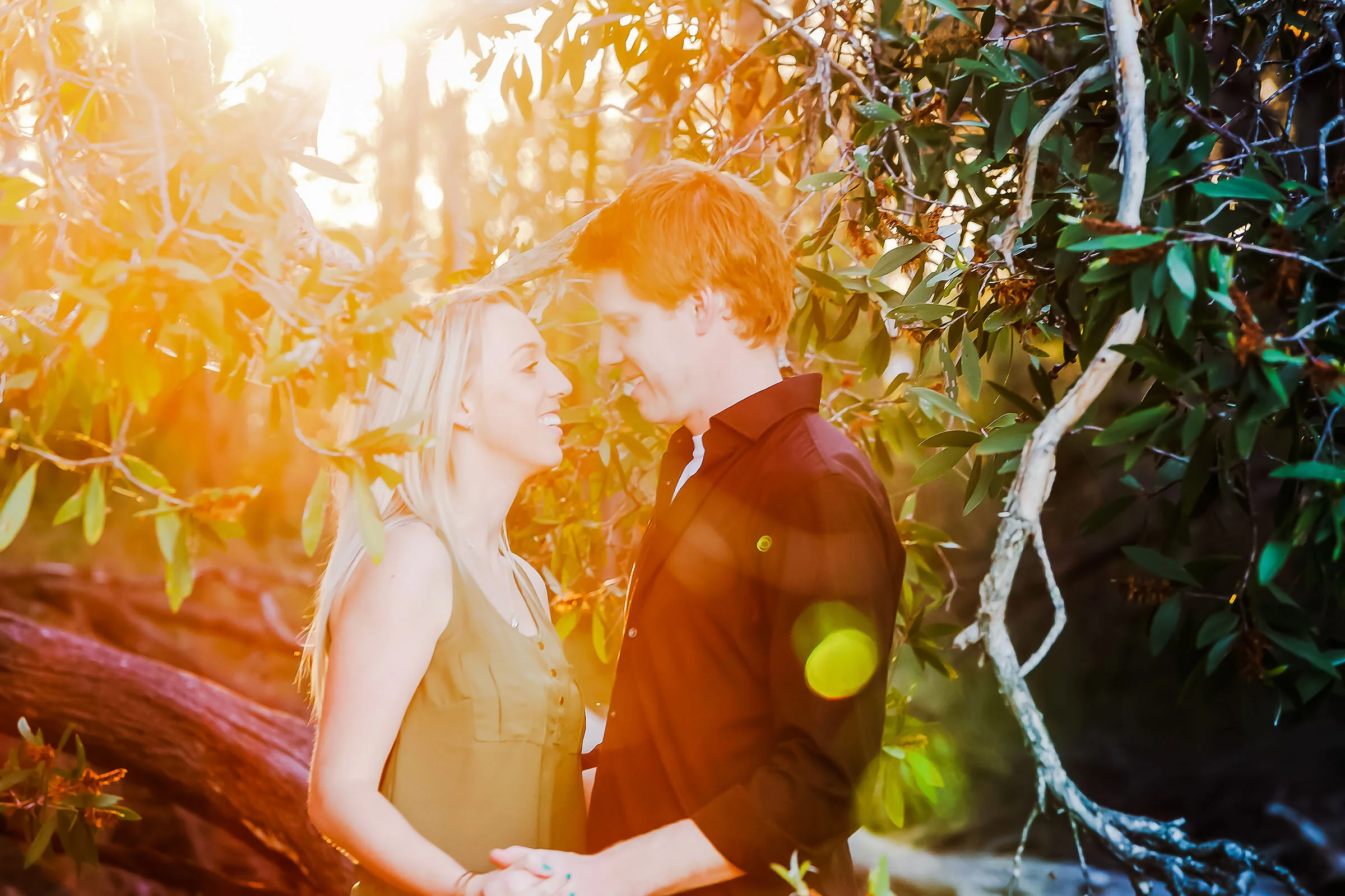 Sunshine Coast Photographer