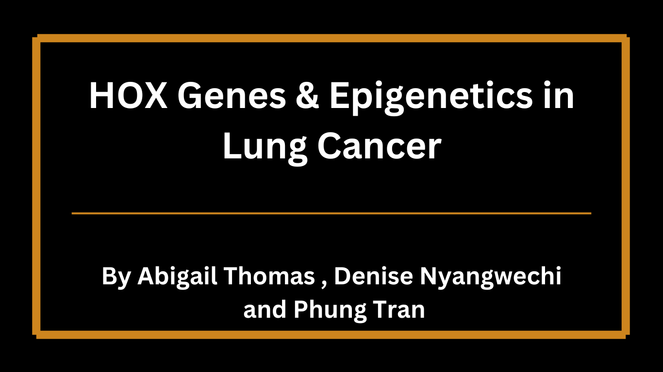 General 2 — NVOLVE