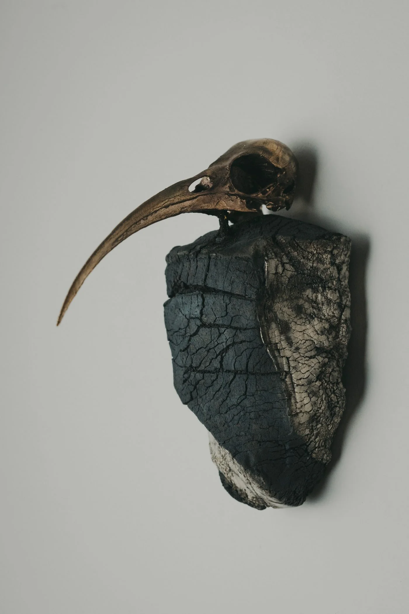 Amanda Kemp — carlaruka.com