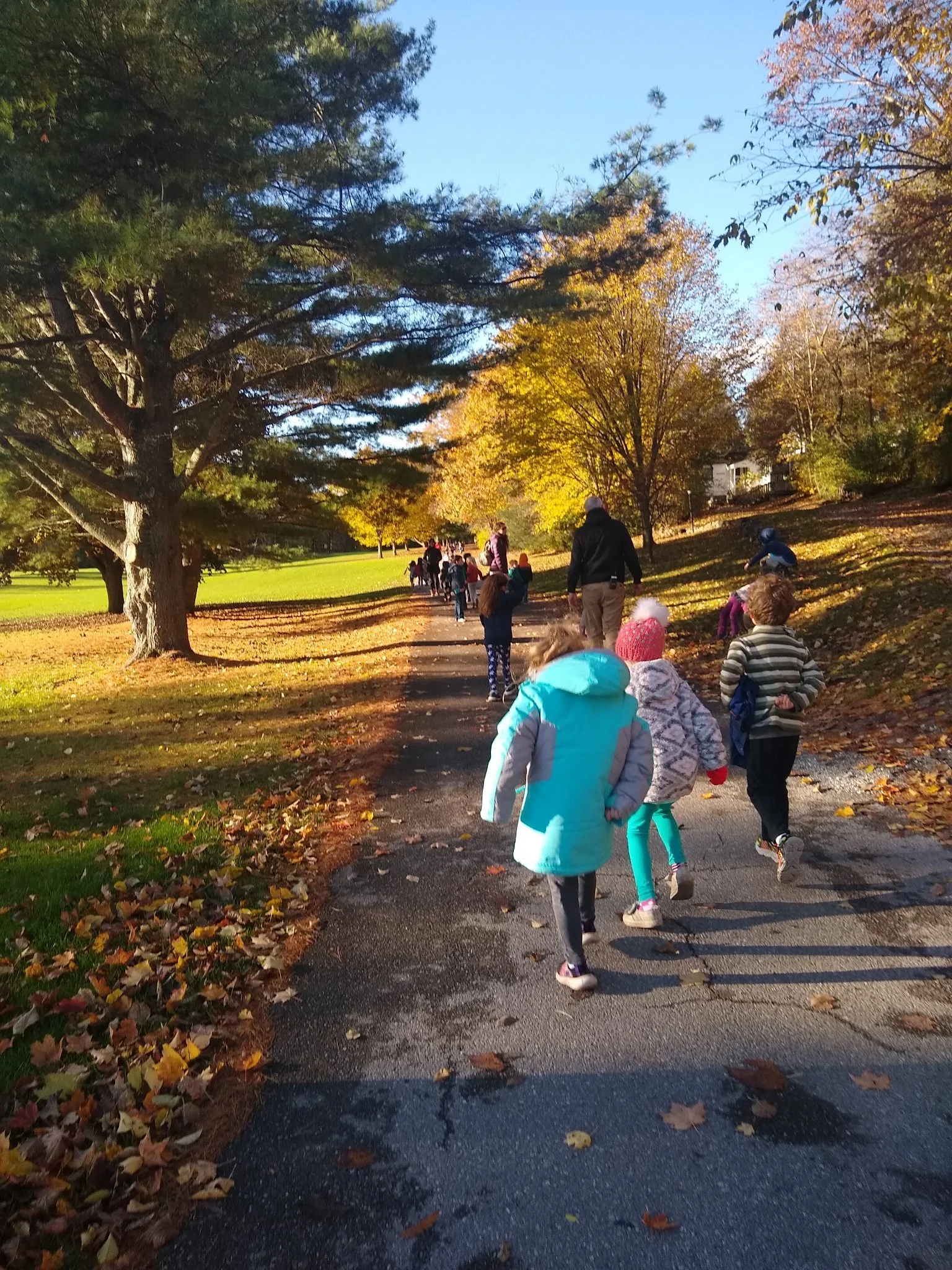 All Learners Network