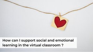 Social and Emotional Learning in the Virtual Classroom — The iTeach ...
