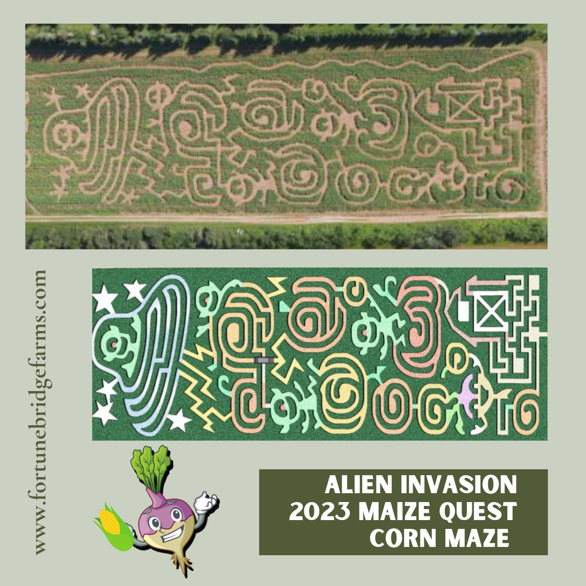 Corn Maze PEI — Fortune Bridge Farms