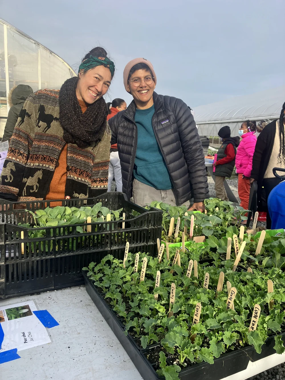 Keep Growing Detroit Kicks Off Another Bountiful Season — Morningside ...
