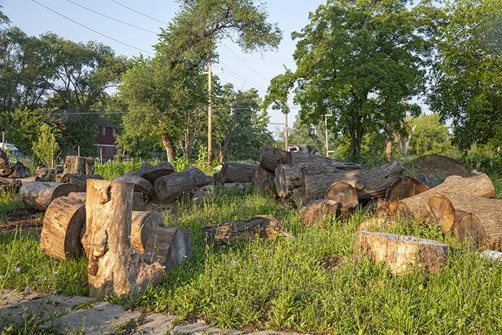 “The Corn is as High as an Elephant’s Eye” on Cornwall — Morningside ...