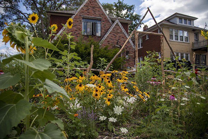 Corn Wall on Cornwall Project Keeps Growing — Morningside Detroit