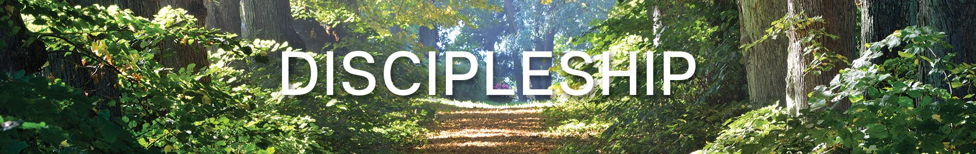 Adult — Redeemer Church